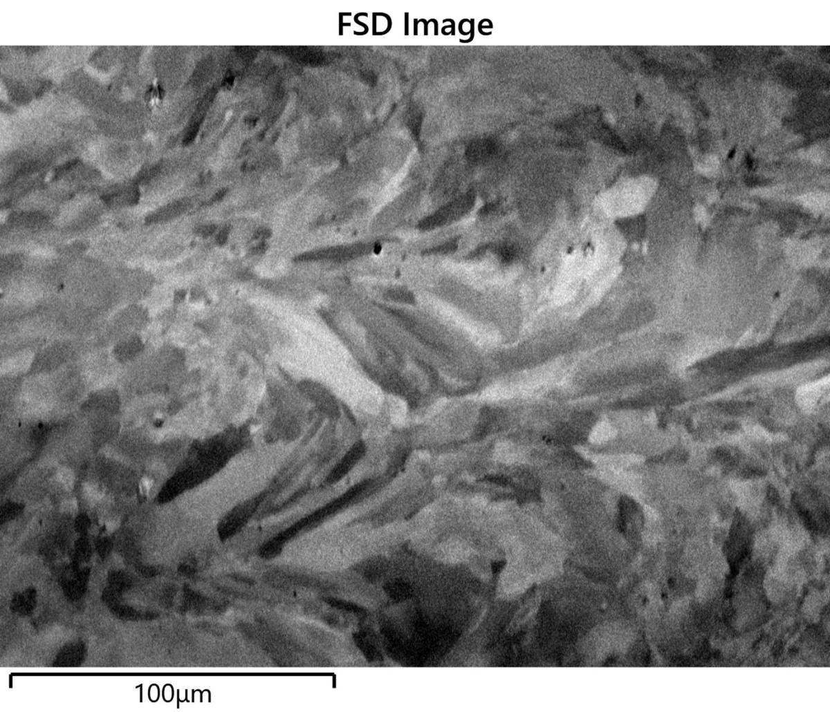 EBSD: Taking the First Look at Your Sample - Oxford Instruments