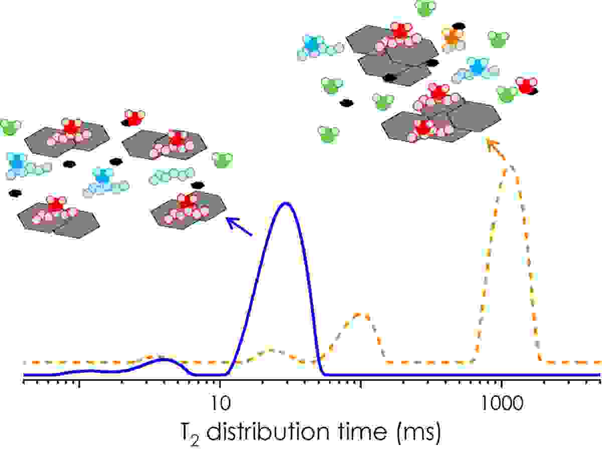 Exploring the vast potential of TD-NMR: a journey from academia to ...