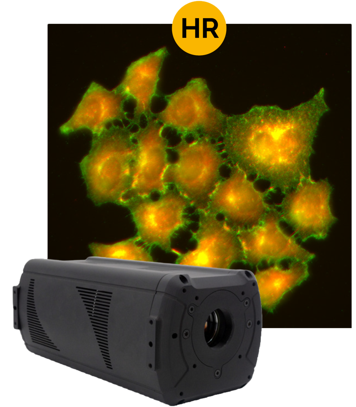 Andor CB2 sCMOS Series — High resolution, high speed and UV-Visible ...