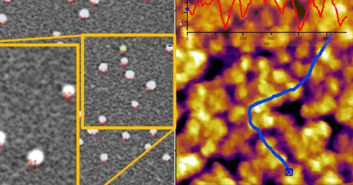 Intro to Asylum Research AFM Image Data Processing & Analysis - FSU ...