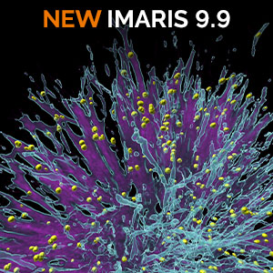 Search Results - Imaris - Oxford Instruments
