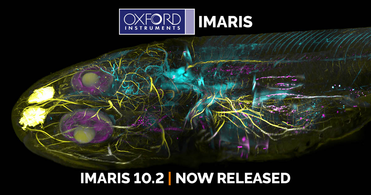 Imaris 10.2 Released - Oxford Instruments