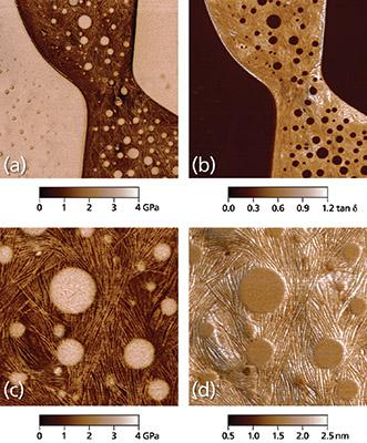 AM-FM Viscoelastic Mapping of polystyrene-polycaprolactone (PS-PCL ...