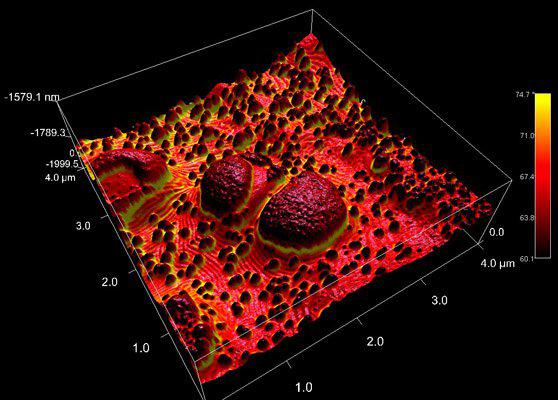 Drug Particles - Asylum Research Learning Centre