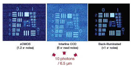 EMCCD vs sCMOS Cameras Comparison - Megapixel Comparison- Oxford Instruments