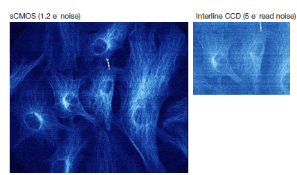 EMCCD vs sCMOS Cameras Comparison - Megapixel Comparison- Oxford ...
