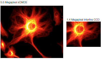 EMCCD vs sCMOS Cameras Comparison - Megapixel Comparison- Oxford ...