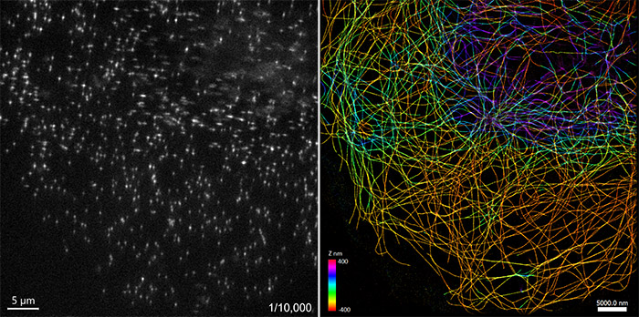 Overview of Single Molecule Localization Microscopy (SMLM)- Oxford ... Overview of Single Molecule Localization Microscopy (SMLM)- Oxford ...
