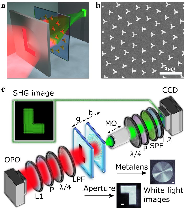 Non-linear imaging with plasmonic metalenses- Oxford Instruments