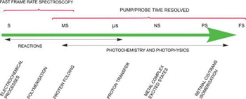 Transient Absorption Spectroscopy | All you need to know - Andor ...