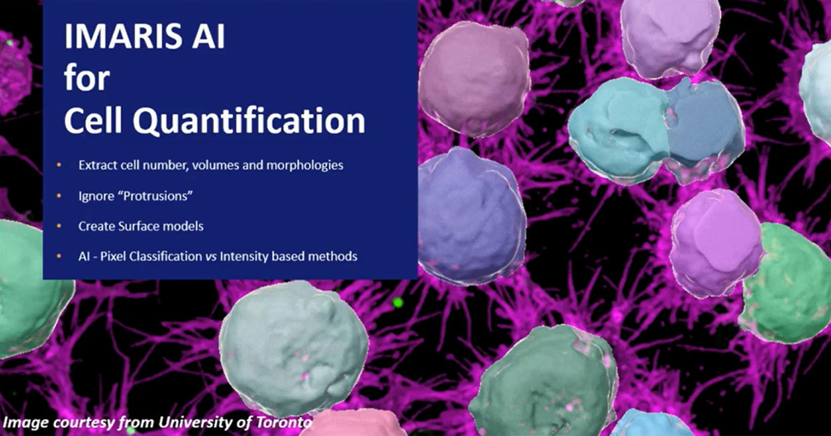 Learn Imaris AI tools to accurately count cells and analyse their morphology- Oxford Instruments
