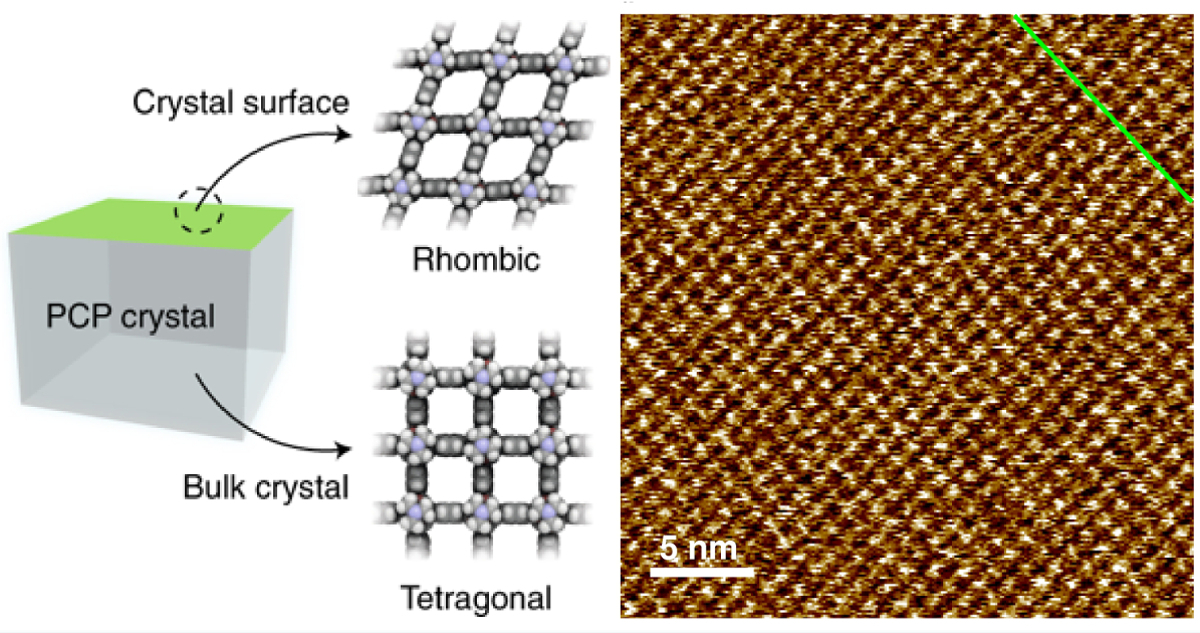 How do coordination polymers adapt their frameworks to guest molecules