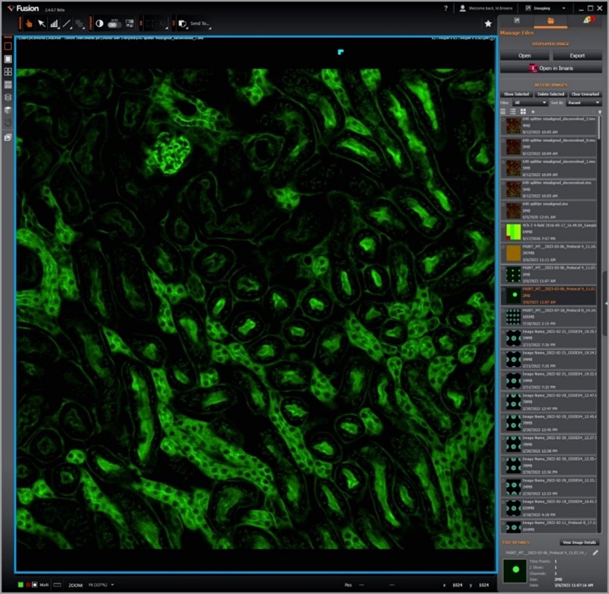 Virtual Camera for Mosaic and MicroPoint — Oxford Instruments Learning ...