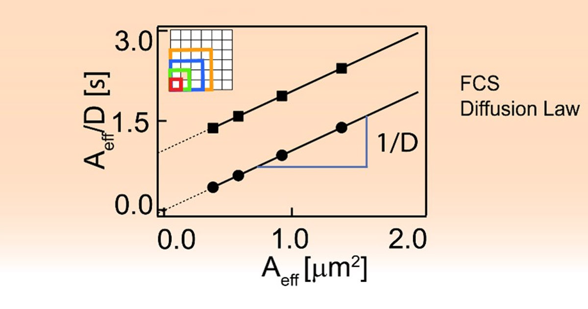 Imaging FCS plasma membrane processes organization dynamics- Oxford ...