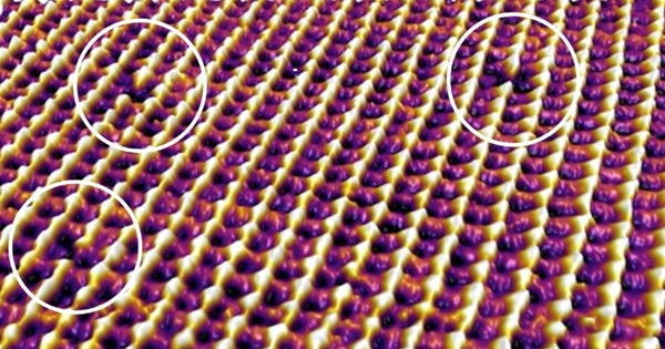 The Cypher AFM in a Glovebox for 2D Materials Research