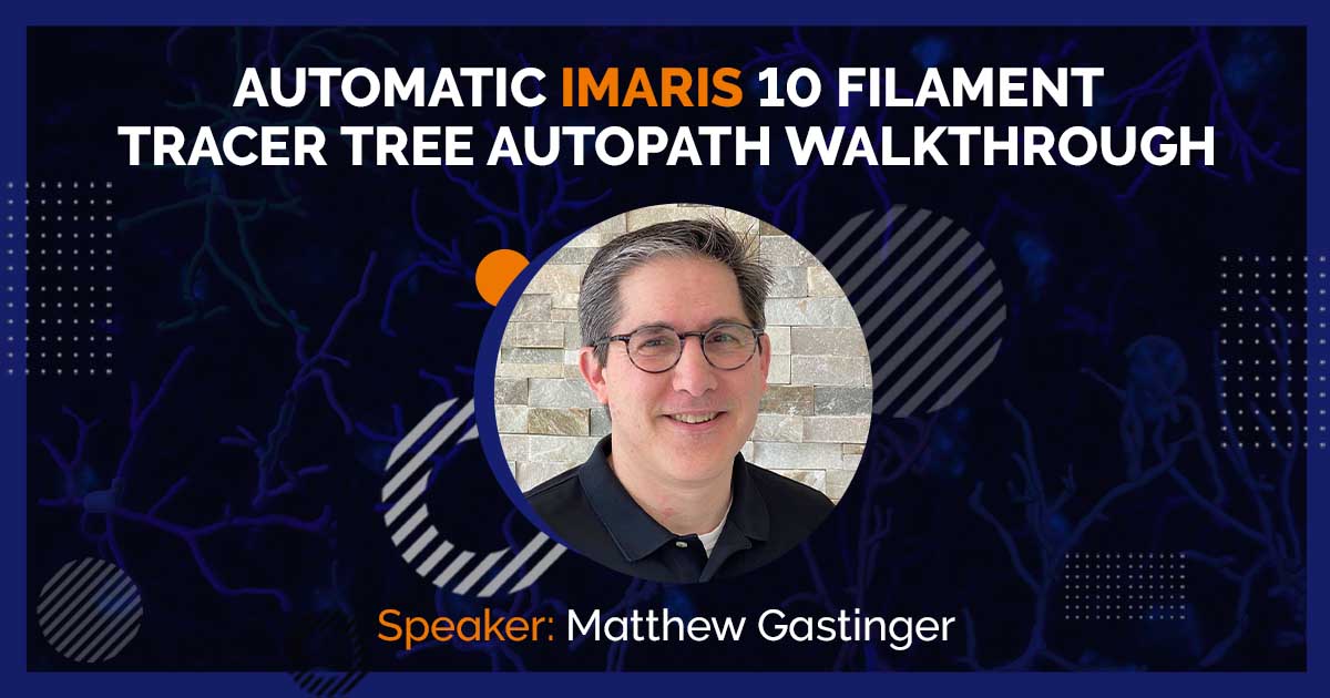 Automatic Imaris 10 Filament Tracer Tree Autopath Walkthrough- Oxford ...