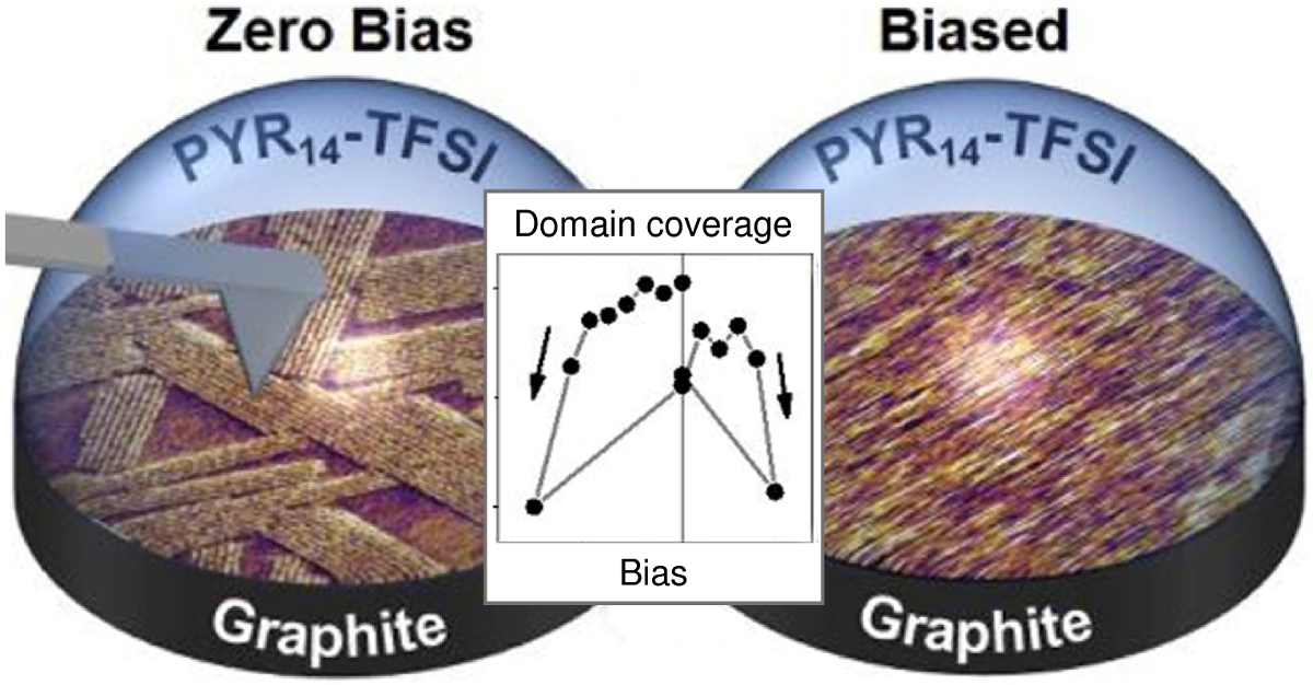 Structural Studies of Ionic Liquid Electrical Double Layers