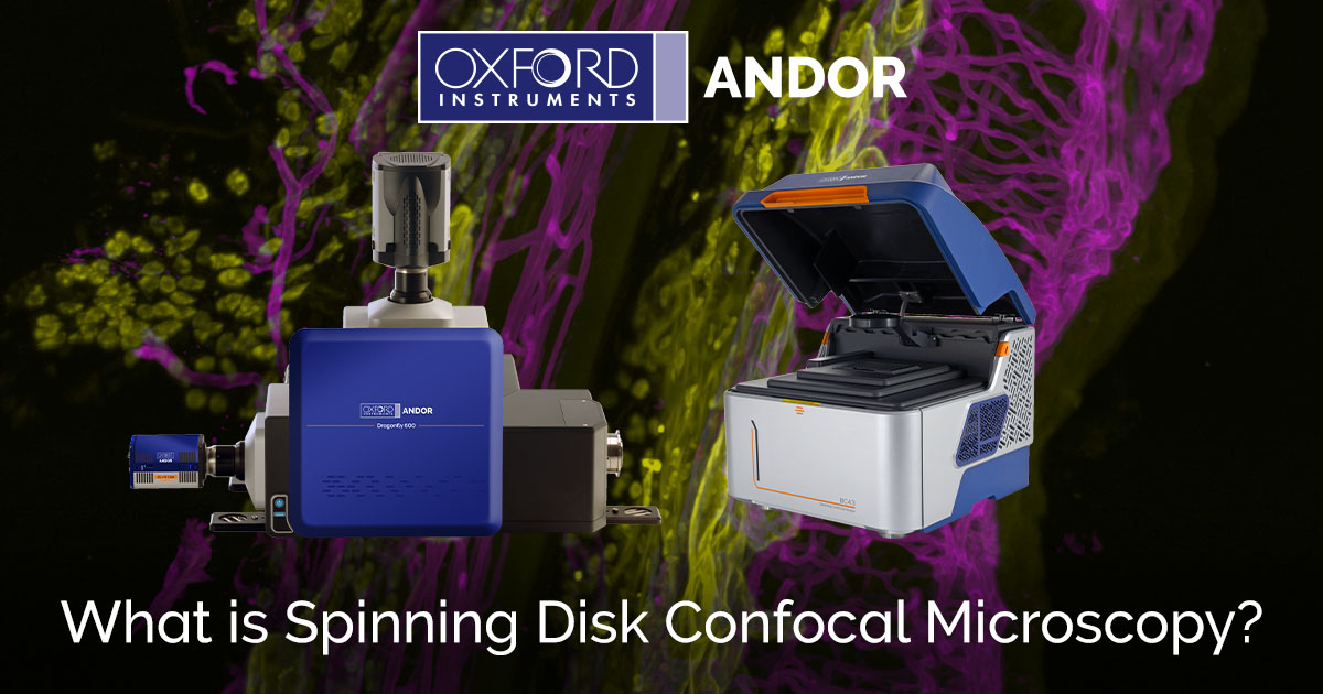 What is Spinning Disk Confocal Microscopy- Oxford Instruments