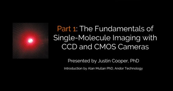 The Fundamentals Of Single Molecule Detection Oxford Instruments
