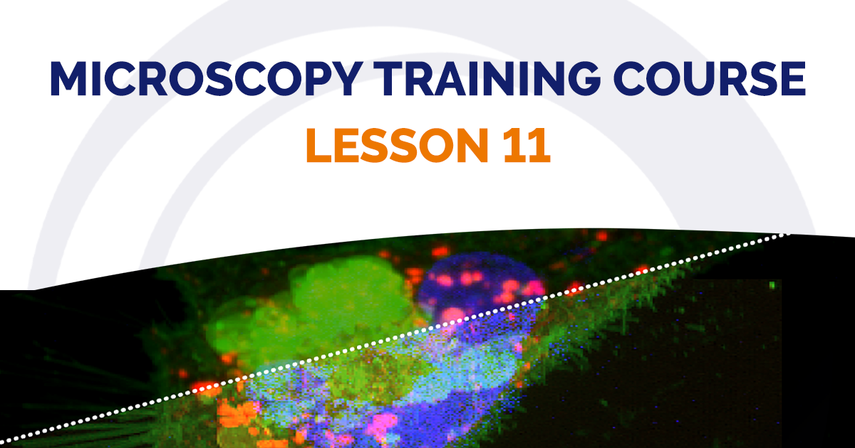 Principles of Deconvolution Microscopy- Oxford Instruments