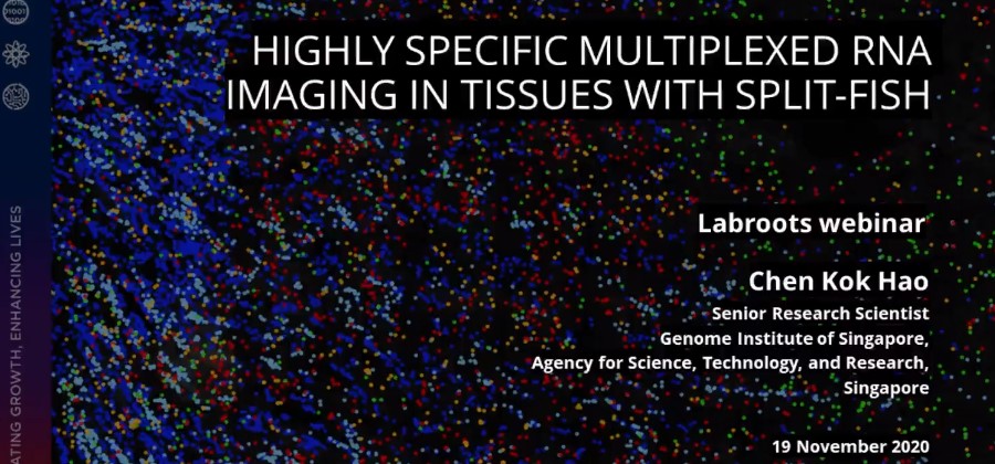 Highly Specific Multiplexed RNA Imaging Tissues | Split-FISH- Oxford ...