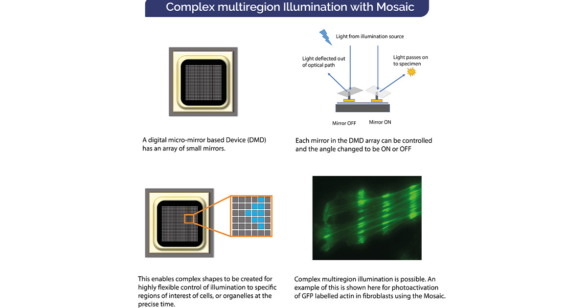 Complex Simultaneous Multi-region Illumination Optogenetics- Oxford ...