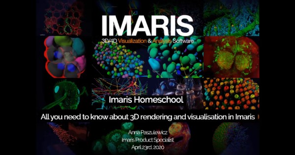 All you need to know about 3D Rendering and Visualization in Imaris ...