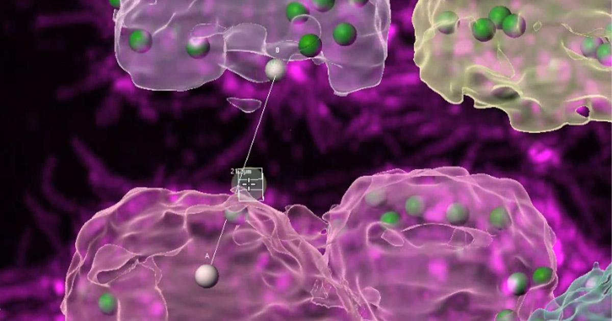 Line and Angle measurements, Estimating average object size, Distance ...