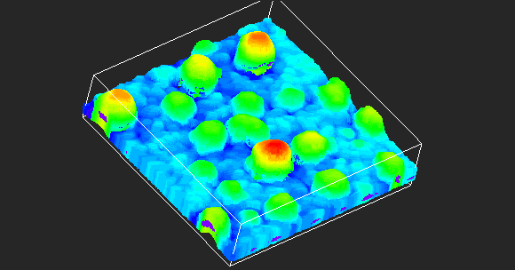 Biofilm Analysis - Imaris Learning Centre- Oxford Instruments