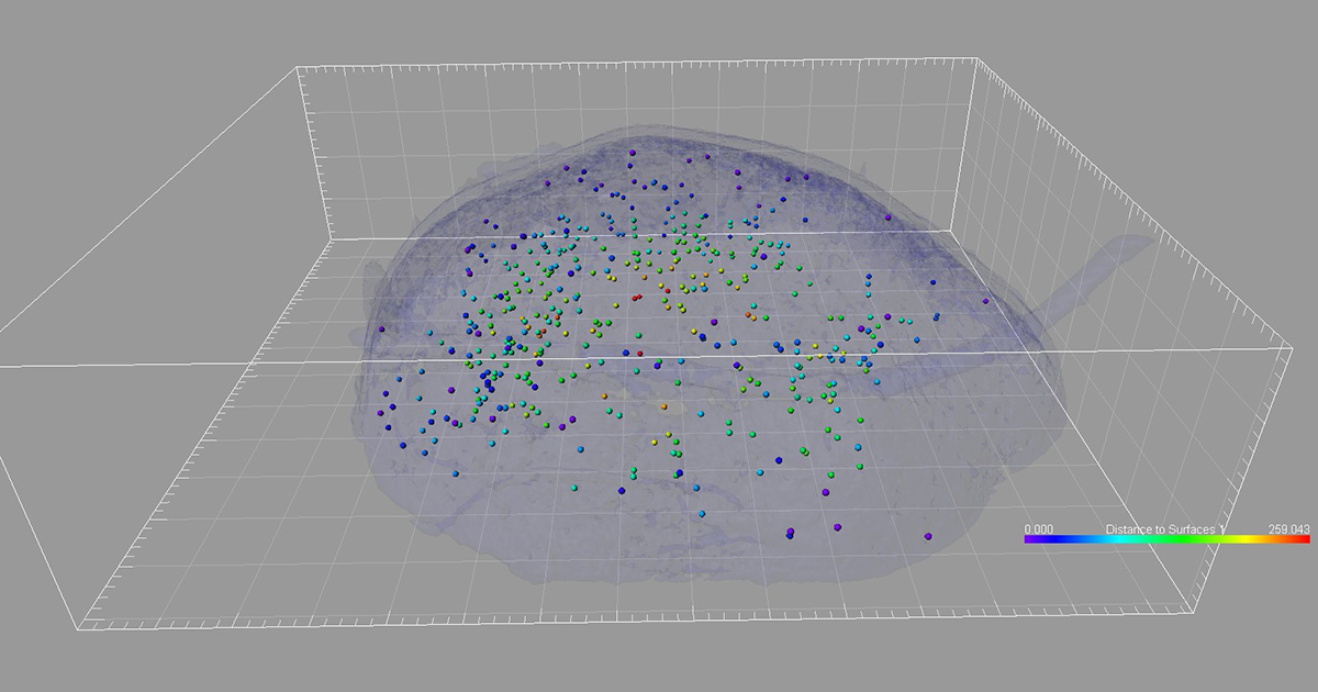 Distance Transform Inside Object For Batch - Imaris Learning Centre ... Distance Transform Inside Object For Batch - Imaris Learning Centre ...