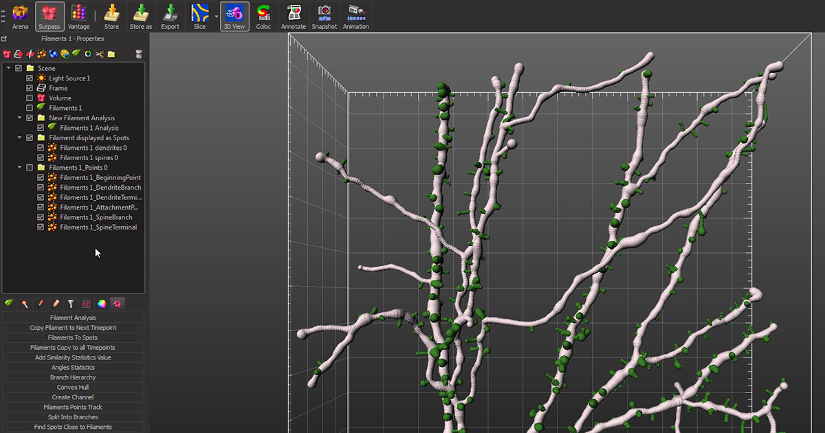 Filament Analysis - Imaris Learning Centre- Oxford Instruments
