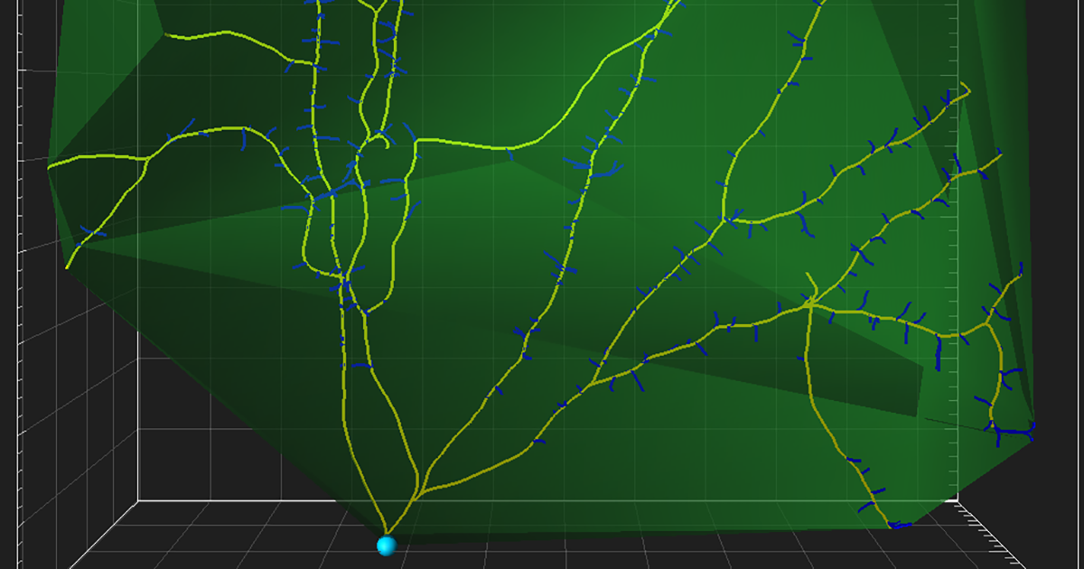 Filaments Convex Hull - Imaris Learning Centre- Oxford Instruments
