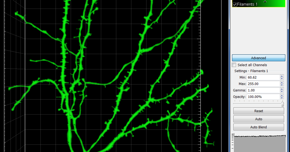 Filaments Create Channel - Imaris Learning Centre- Oxford Instruments