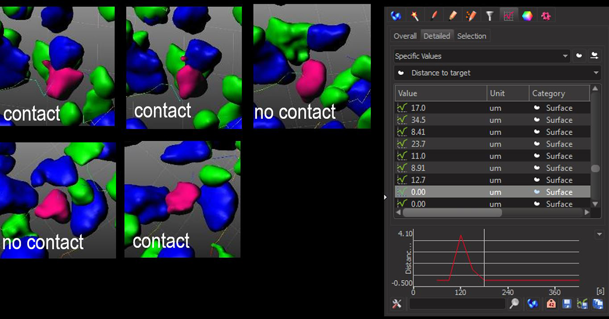 Kiss and Run Analysis - Imaris Learning Centre- Oxford Instruments