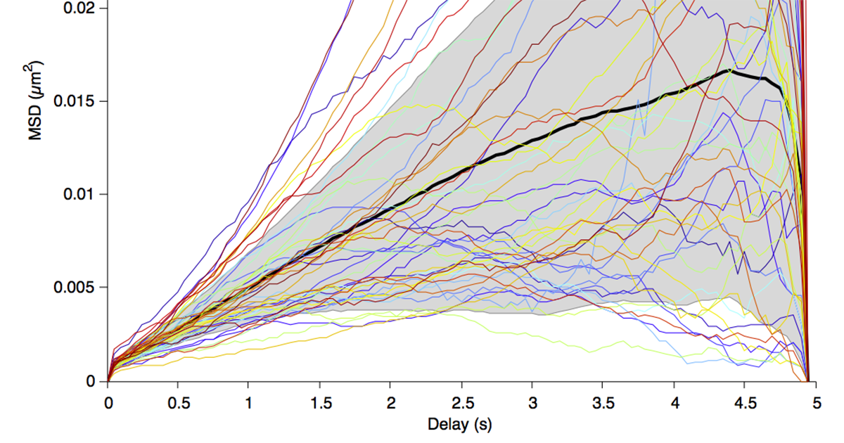 Mean-square-displacement analysis - Imaris Learning Centre- Oxford Instruments