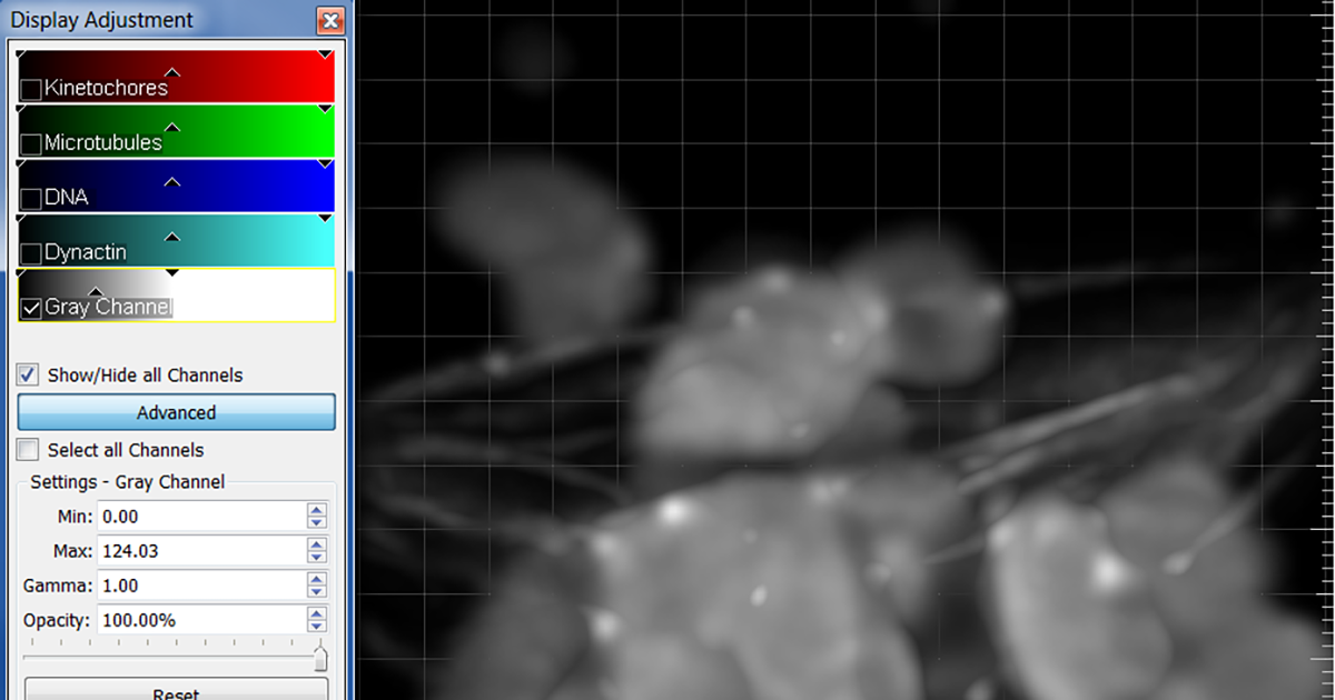 RGB 2 Gray - Imaris Learning Centre- Oxford Instruments