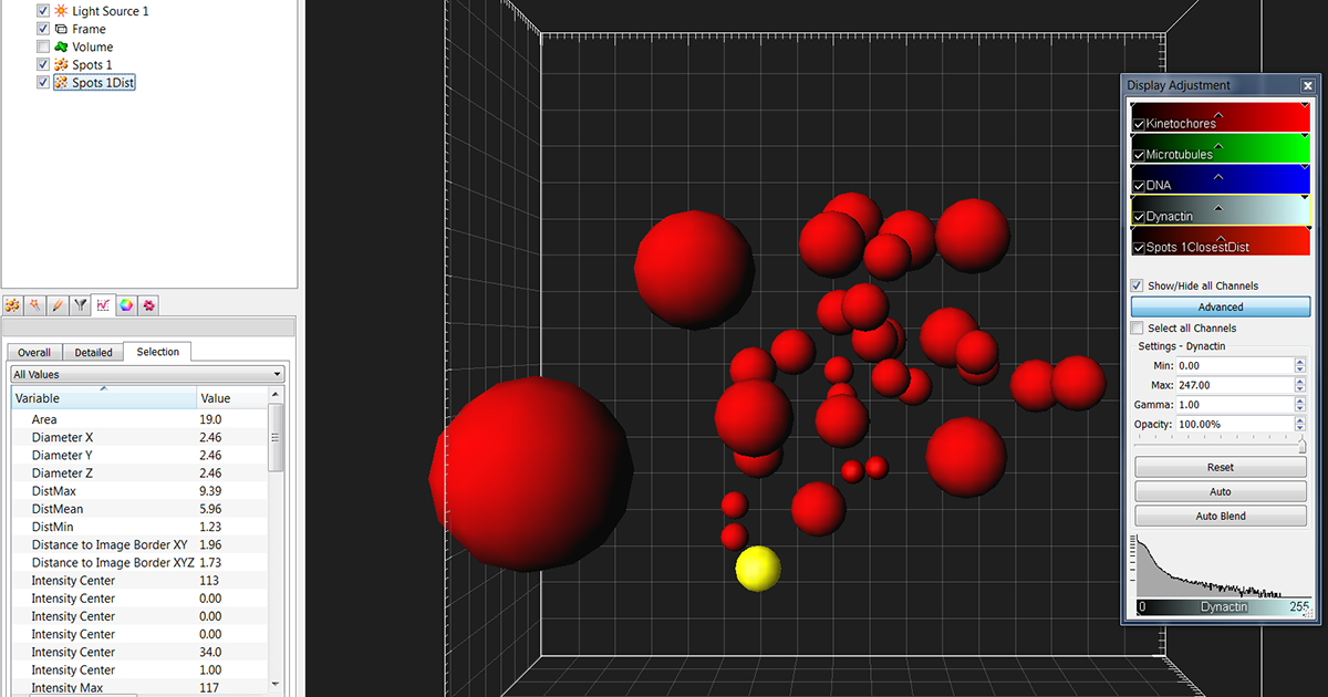 Spots Closest Distance - Imaris Learning Centre- Oxford Instruments