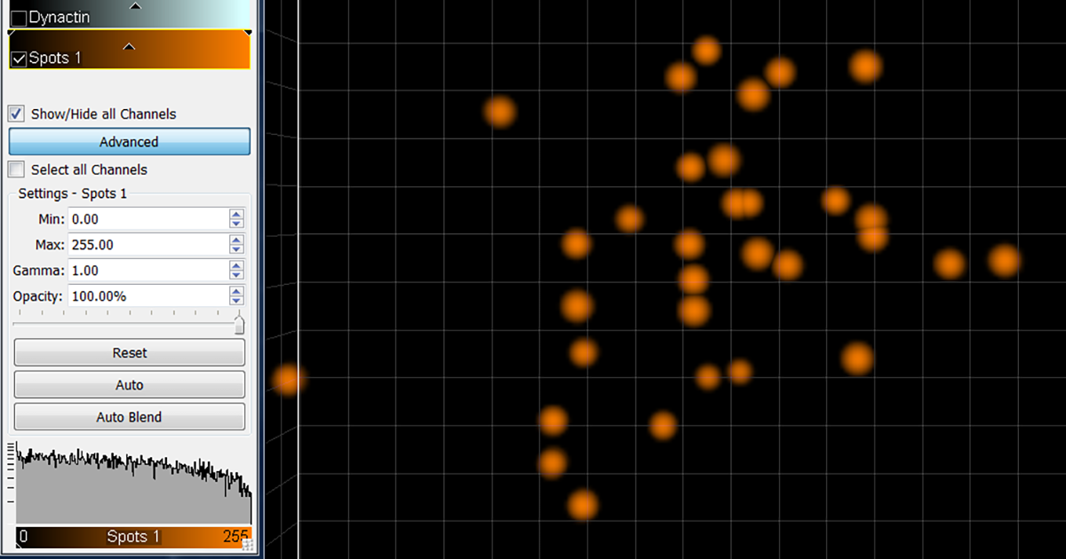 Spots Create Channel - Imaris Learning Centre- Oxford Instruments