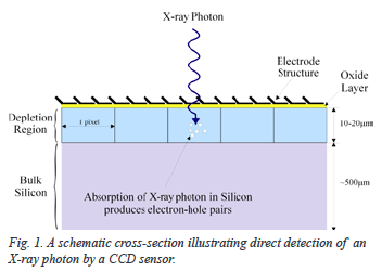 Understanding direct X-ray detection in scientific cameras- Oxford ...